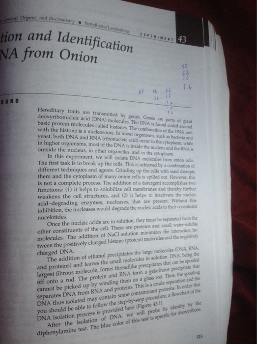 Isolation and identification of DNA from onion | Chegg.com