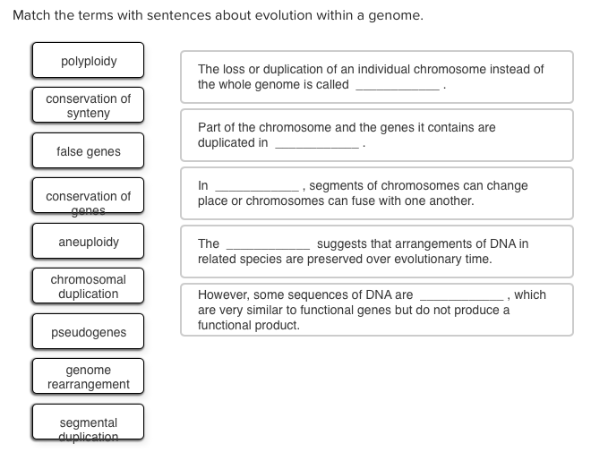 Solved Match the terms with sentences about evolution within | Chegg.com