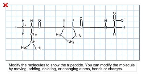 Solved Draw the structure of the tripeptide | Chegg.com