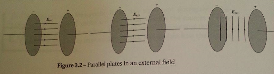 Solved Imagine parallel plates are placed in an external | Chegg.com