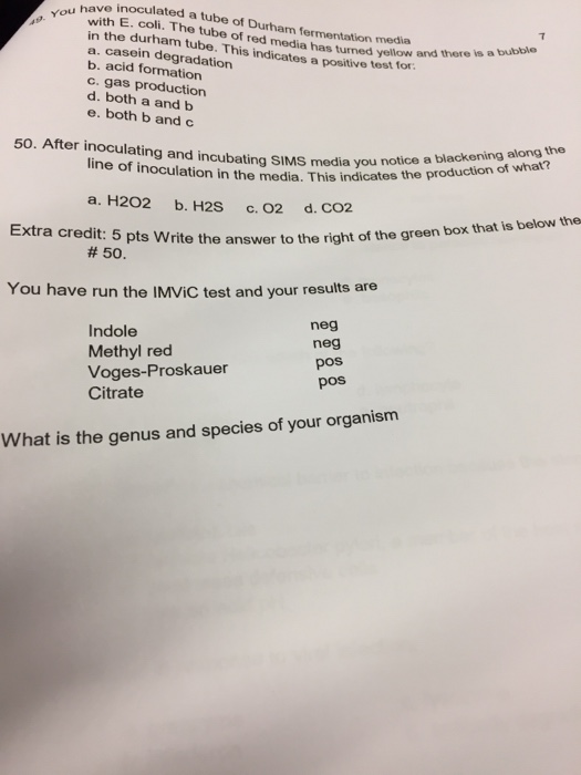 Solved You have inoculated a tube at Durham fermentation | Chegg.com
