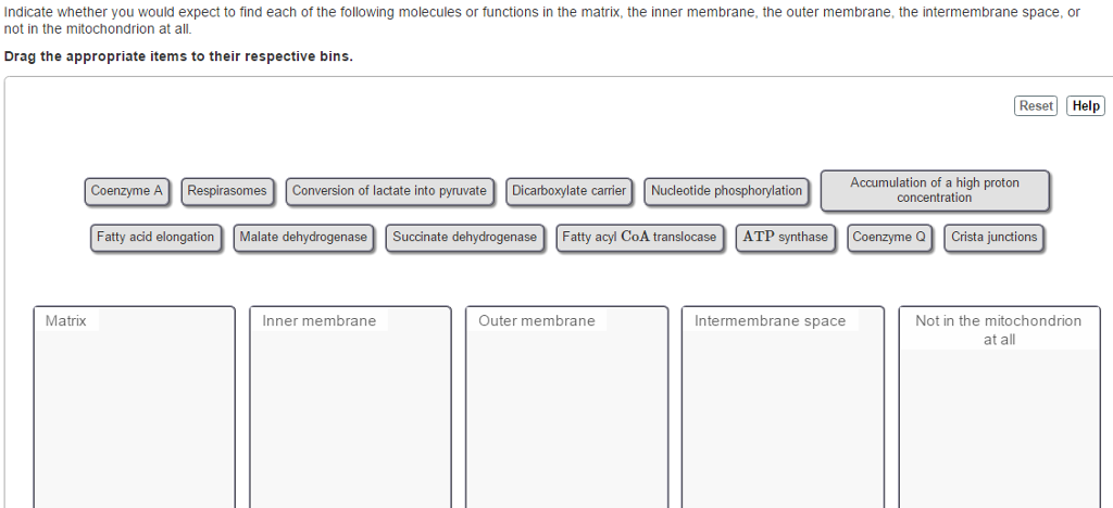 Solved Indicate whether you would expect to find each ofthe | Chegg.com