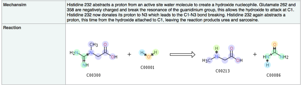 Solved enzyme: creatinas rxn: creatine + H2O ⇌ sarcosine | Chegg.com