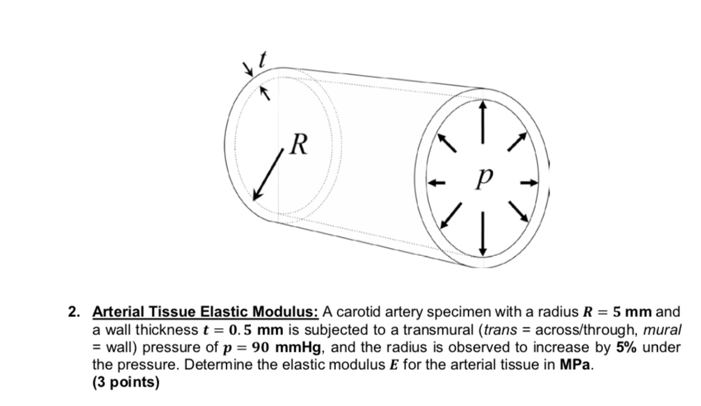 Solved 2. Arterial Tissue Elastic Modulus: A carotid artery | Chegg.com