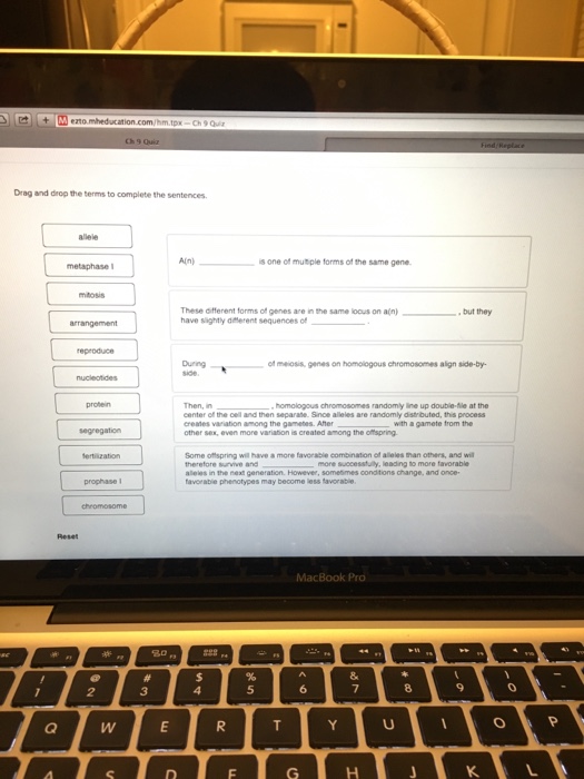 Solved Drag and drop the terms to complete the sentences. | Chegg.com