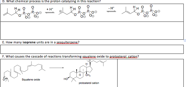 Solved D. What chemical process is the proton catalyzing in | Chegg.com