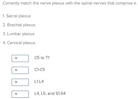 Solved Correctly match the nerve plexus with the spinal | Chegg.com