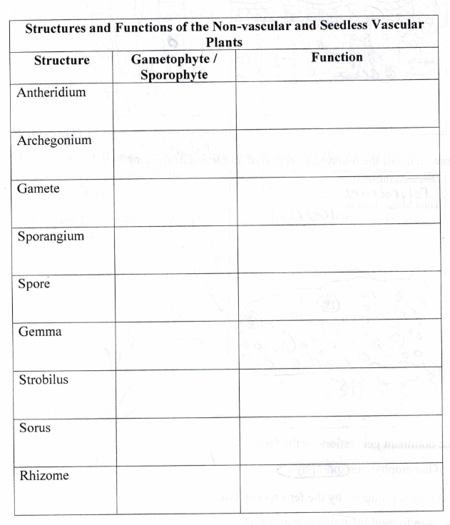 Solved Structures and Functions of the Non-vascular and | Chegg.com