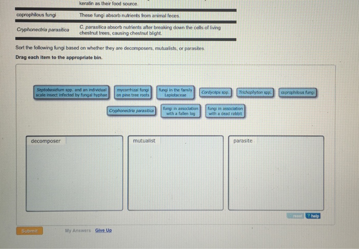 Solved Keralin as their food source. Coprophilous fungi | Chegg.com