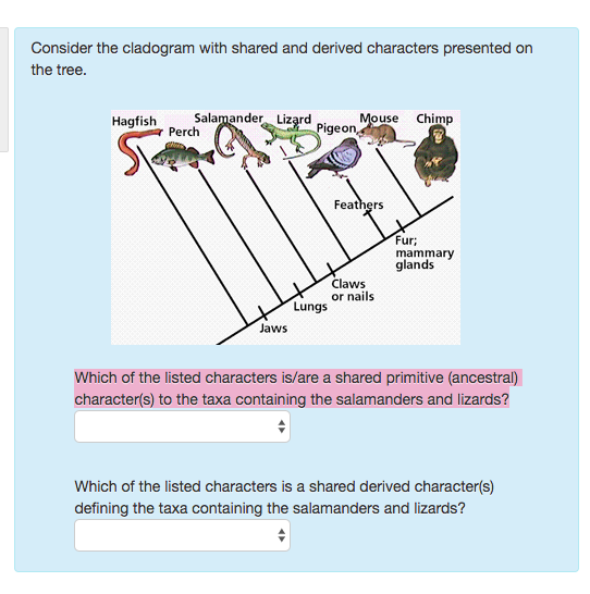 Solved Consider the cladogram with shared and derived | Chegg.com