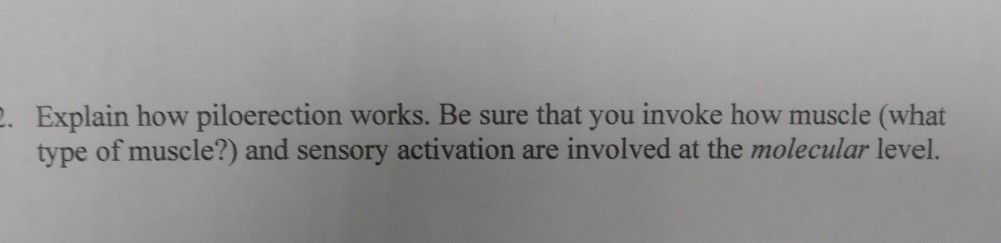 Solved Explain how piloerection works. Be sure that you | Chegg.com