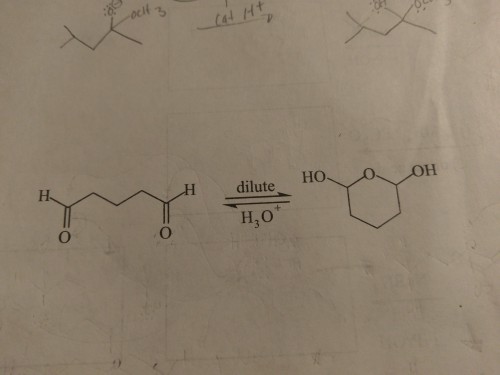Solved dilute H30 HO. | Chegg.com