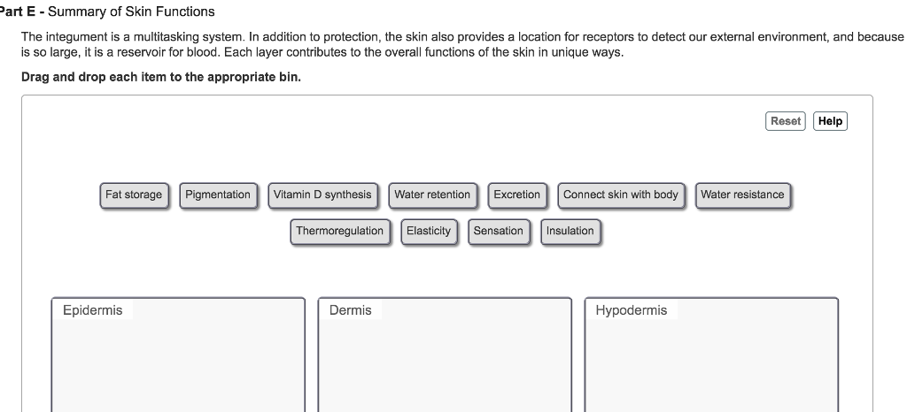 Solved The integument is a multitasking system. In addition | Chegg.com