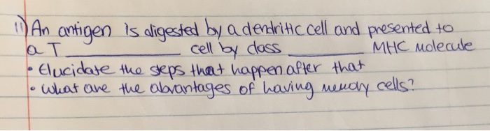 Solved An antigen is aligested by a dendritic celland | Chegg.com