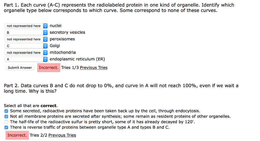 Solved Jamieson and Palade did a set of classic experiments | Chegg.com