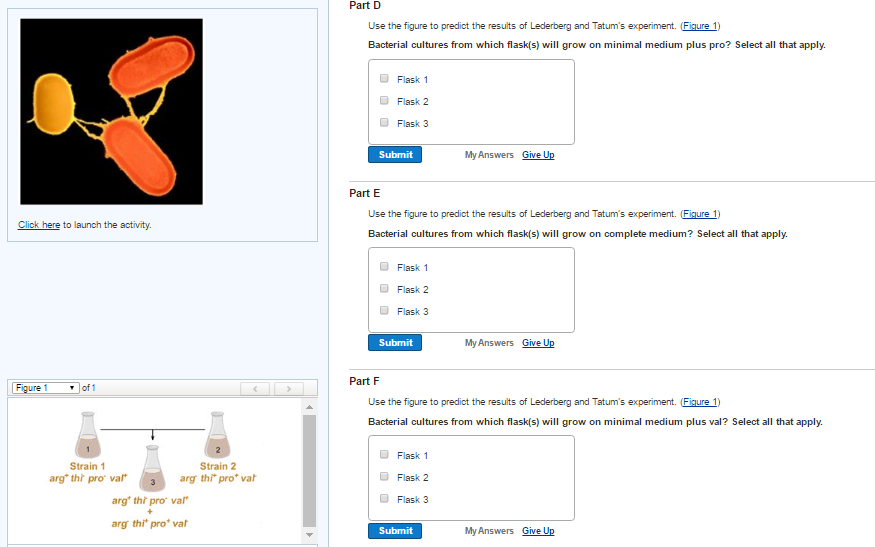 Use the figure to predict the results of Lederberg | Chegg.com