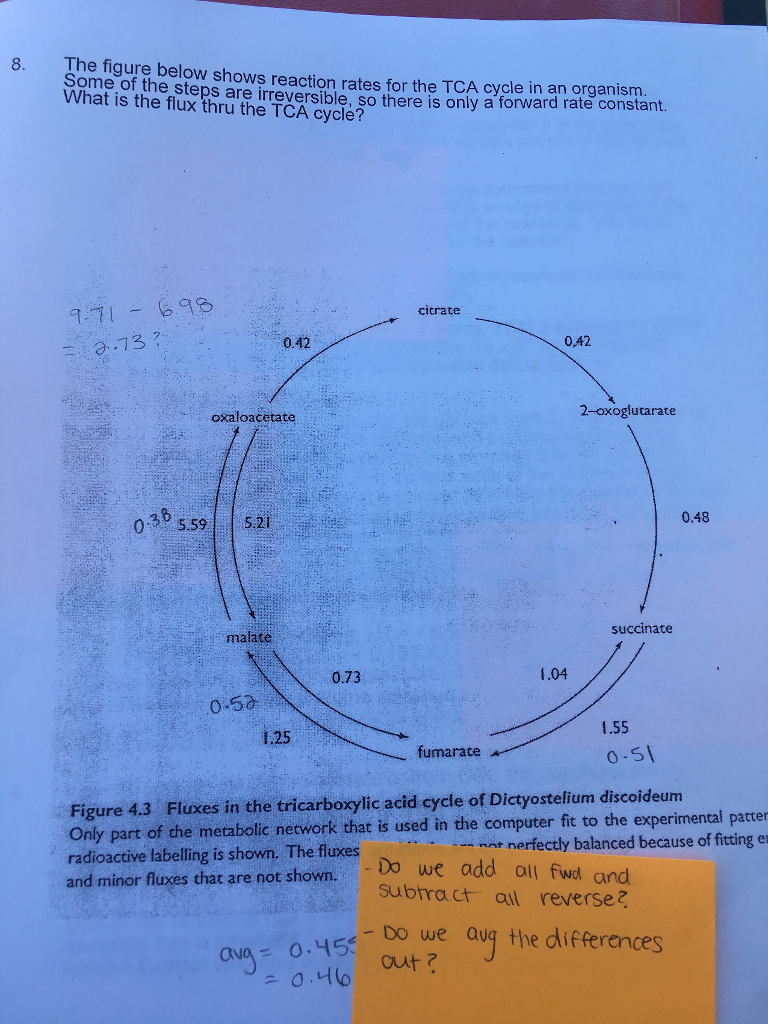 8. The figure below shows reaction rates for the TCA | Chegg.com