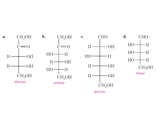 Solved Identify each of the following as the D or L isomer. | Chegg.com