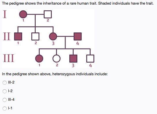 Solved The pedigree shows the inheritance of a rare human | Chegg.com