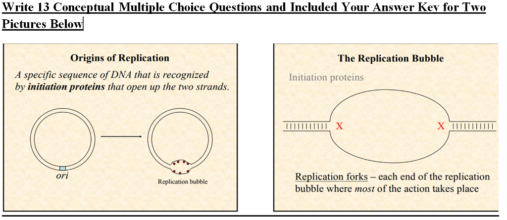 Solved Note: Write 13 Conceptual Multiple Choice Questions | Chegg.com