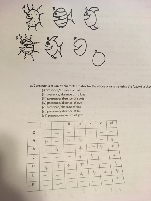 Solved Draw the most parsimonious cladogram. Please actually | Chegg.com