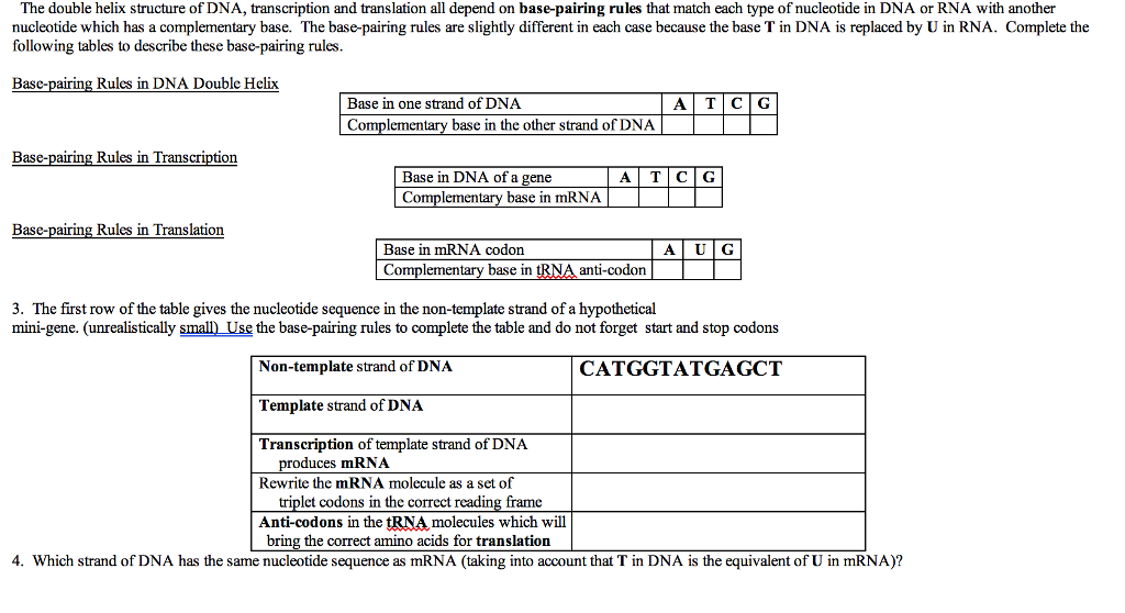 Solved The Double Helix Structure Of DNA Transcription And Chegg