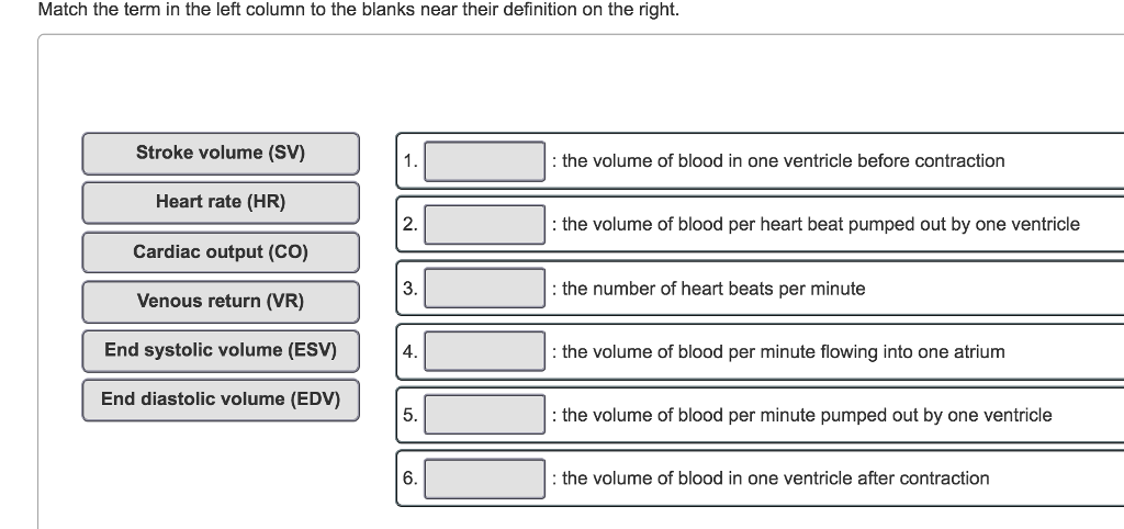 Solved Match the term in the left column to the blanks near | Chegg.com