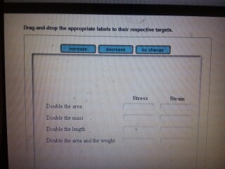 Drag-and -drop the appropriate tables to their | Chegg.com