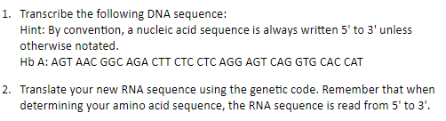 Solved 1. Transcribe the following DNA sequence: Hint: By | Chegg.com