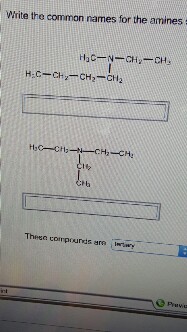 Solved Write the common names for the amines These | Chegg.com