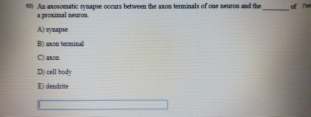 Solved 10) An axosomatic synapse occurs between the axon | Chegg.com