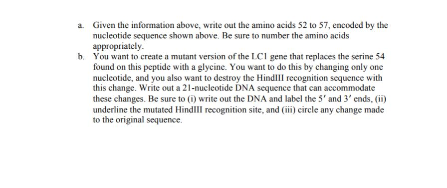 Solved (10 pts) You have created a piece of recombinant DNA | Chegg.com