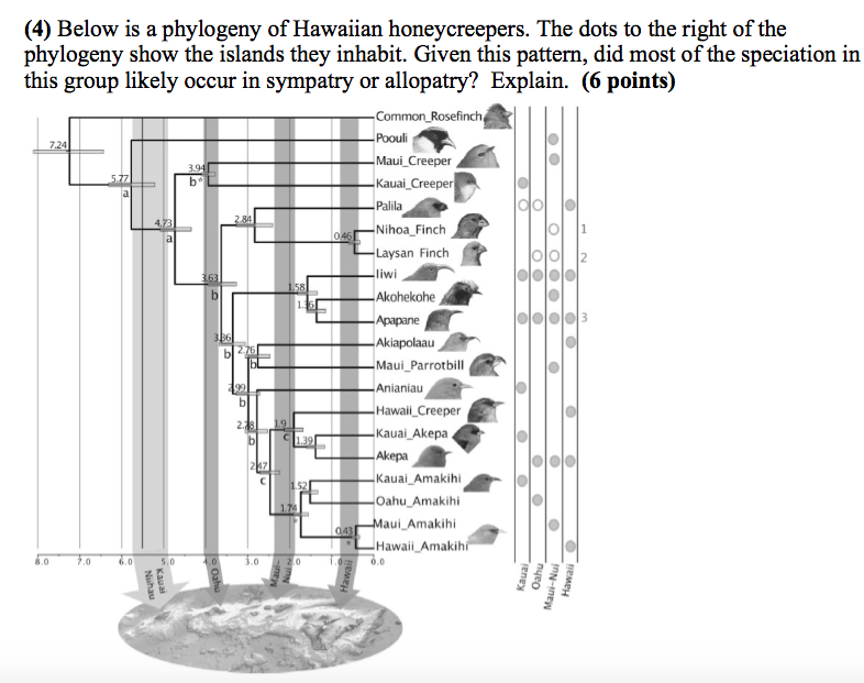 Solved (4) Below is a phylogeny of Hawaiian honeycreepers. | Chegg.com