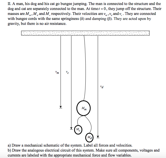Solved A man, his dog and his cat go bungee jumping. The | Chegg.com