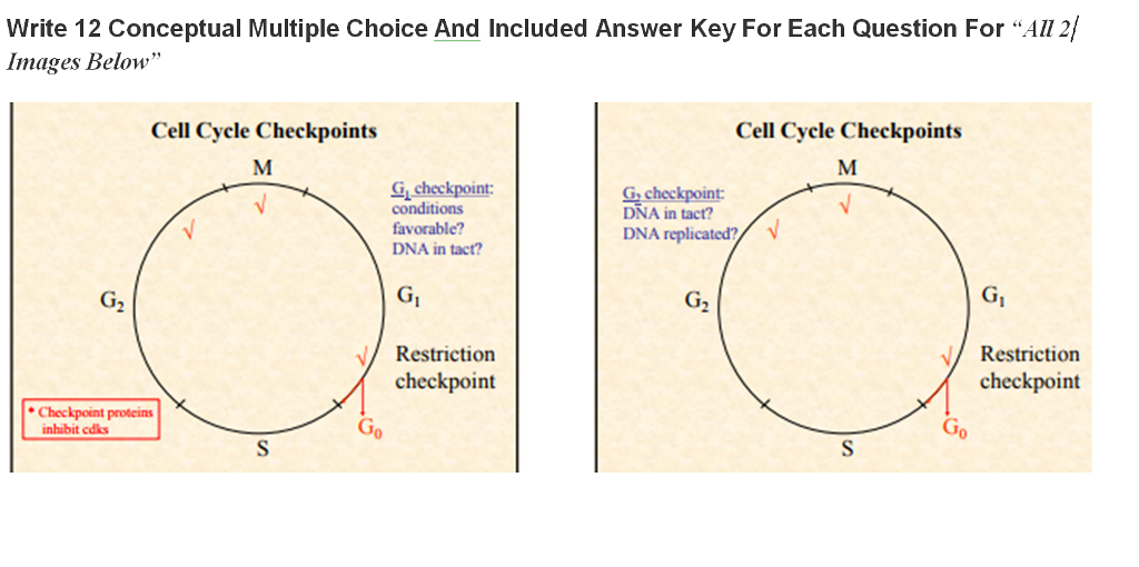 Solved: Note: Write 12 Conceptual Multiple Choice And Incl... | Chegg.com