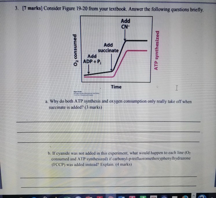 Solved 3· (7 marks] Consider Figure 19-20 from your | Chegg.com
