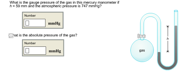 Solved What is the gauge pressure of the gas in this mercury | Chegg.com