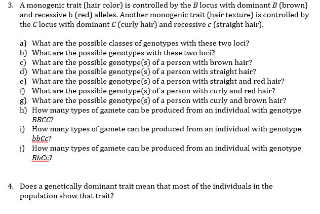 Solved A monogenic trait (hair color) is controlled by the B | Chegg.com