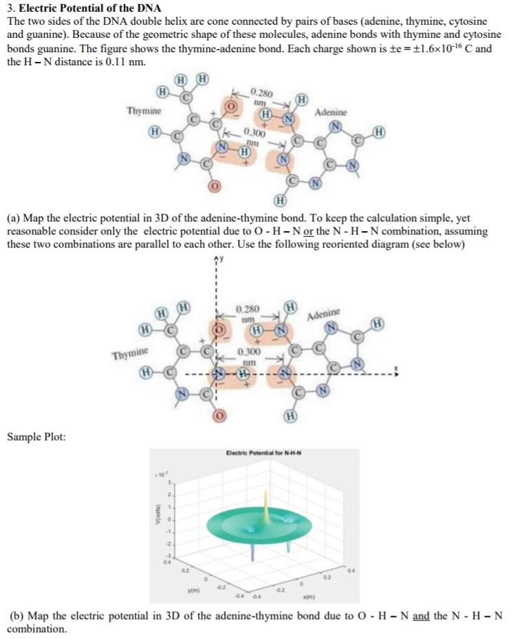 3. Electric Potential of the DNA The two sides of the | Chegg.com
