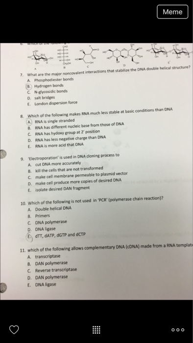 Solved What are the major non covalent interactions that | Chegg.com