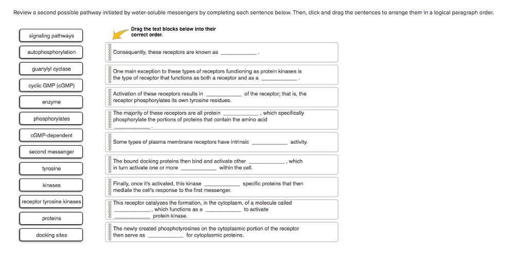 Solved Review a second possible pathway initiated by | Chegg.com