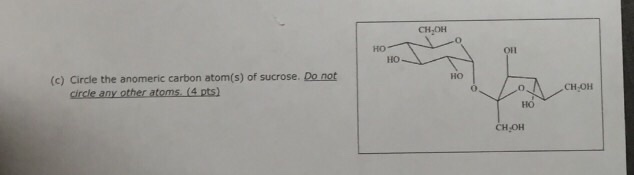 Solved Circle the anomeric carbon atom(s) of sucrose. Do not | Chegg.com