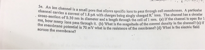 Solved An ion channel is a small pore that allows specific | Chegg.com