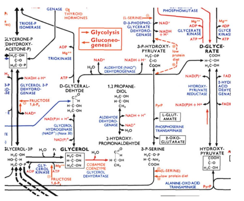Problem 5.5 Production of propane 1,3-diol (3G) by | Chegg.com