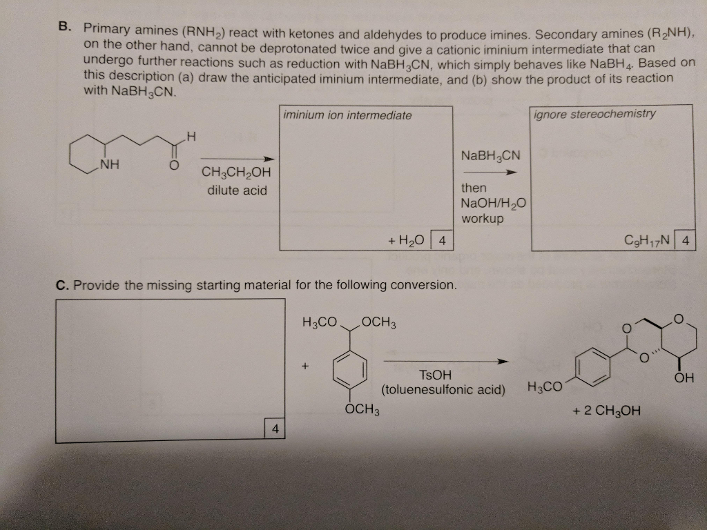 Solved B. Primary amines (RNH2) react with ketones and | Chegg.com