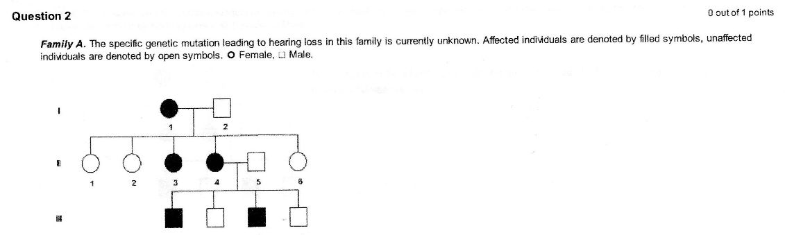 Solved Family A. The specific genetic mutation leading to | Chegg.com