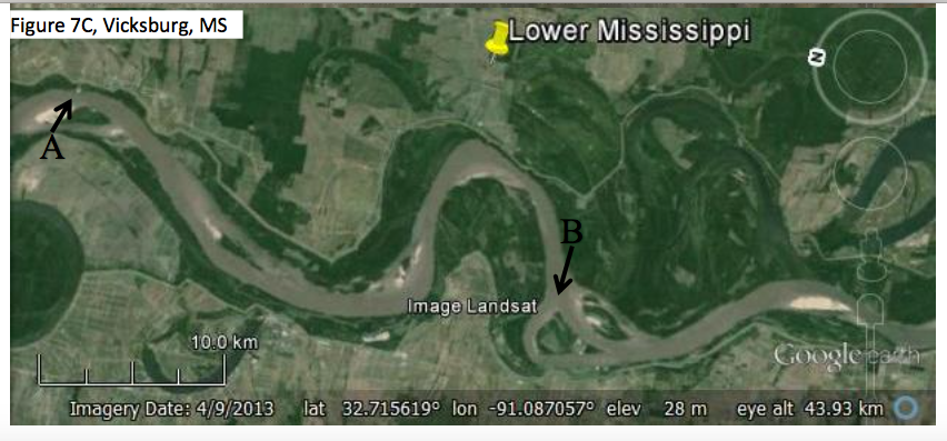 Solved 13) . On Figure 7C, identify and label at least one | Chegg.com