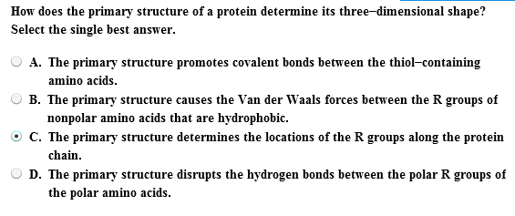 Solved How does the primary structure of a protein determine | Chegg.com