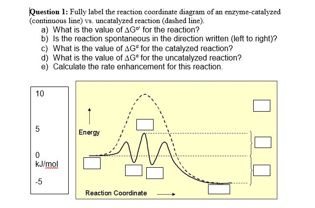 Solved Fully label the reaction coordinate diagram of an | Chegg.com