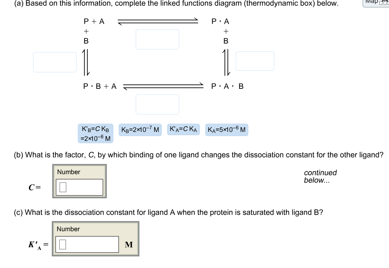 Suppose that a ligand A binds to a protein with a | Chegg.com